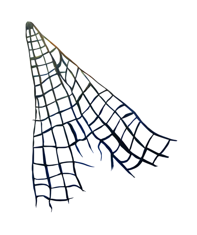 element ks 49 — Postimages