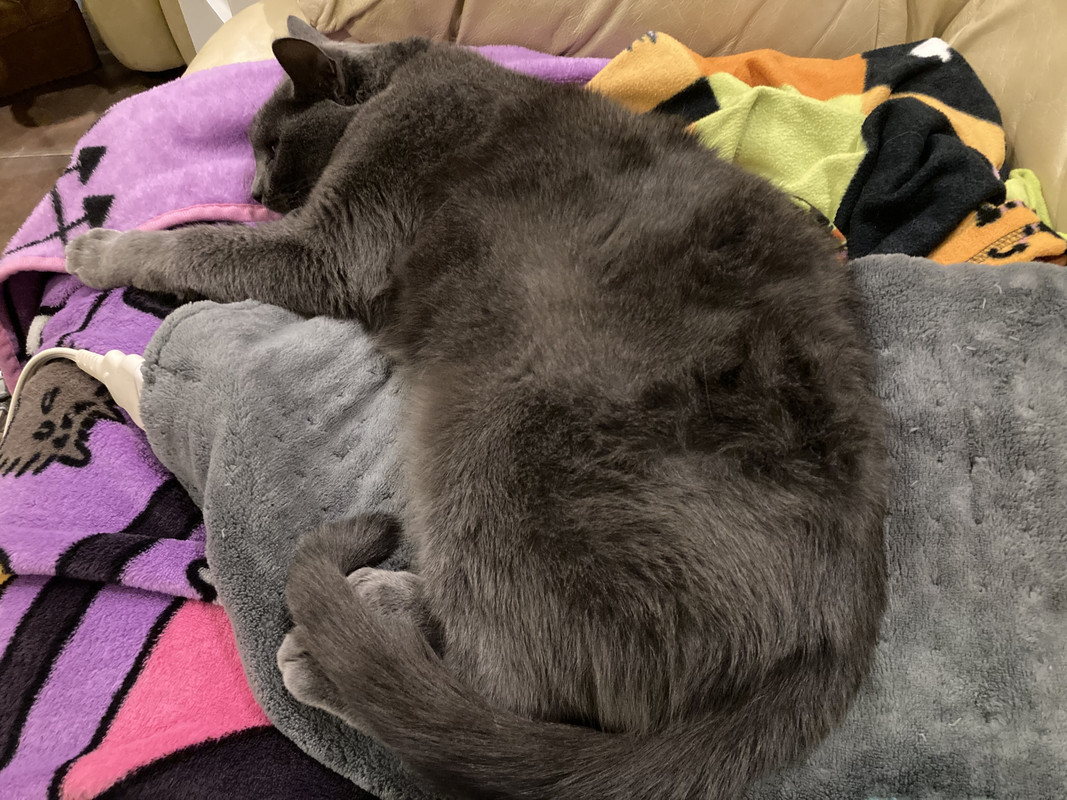 IMG 0119 — Postimages