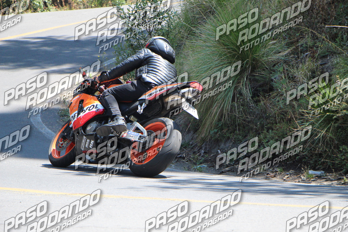 IMG 3446 wm 355394 5 watermarked — Postimages