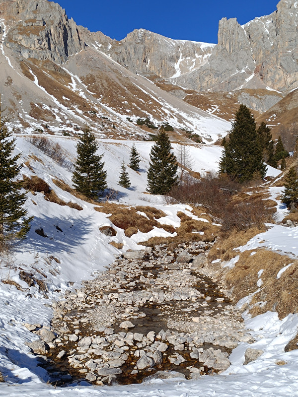 IMG 20250104 113307 — Postimages