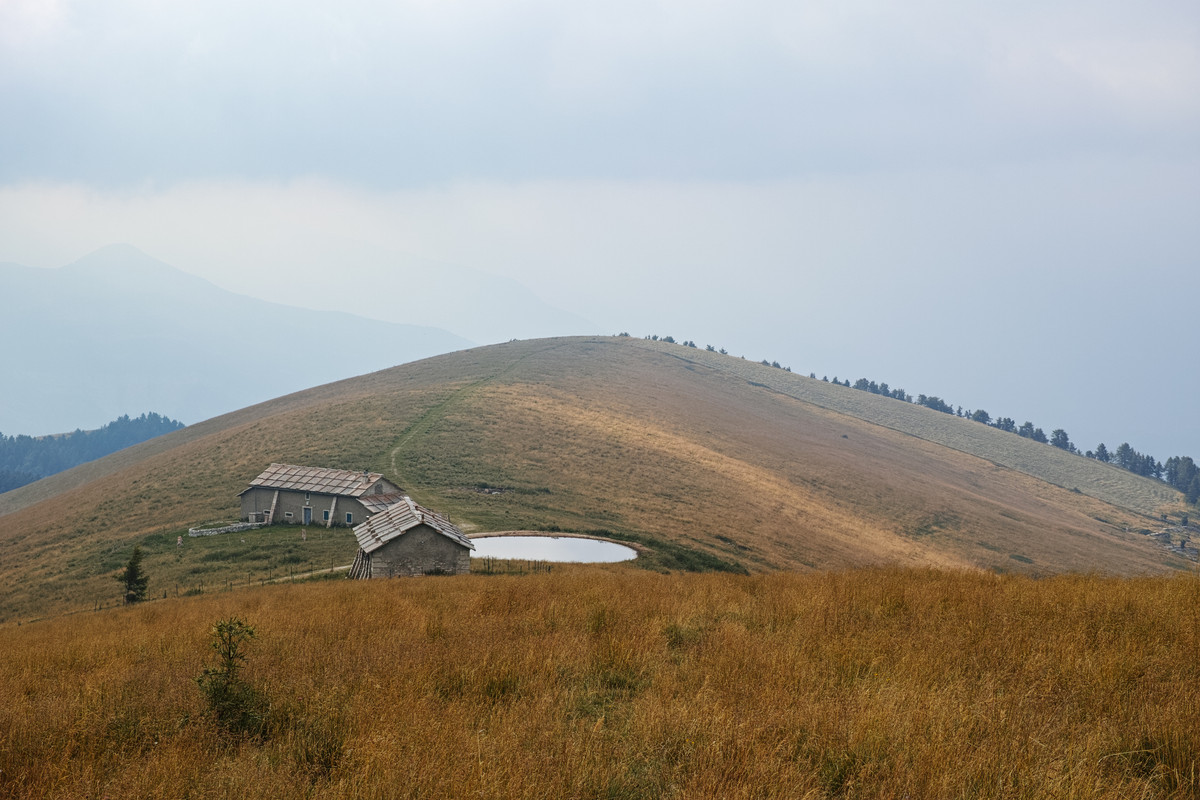 DP3 Q8238p B — Postimages