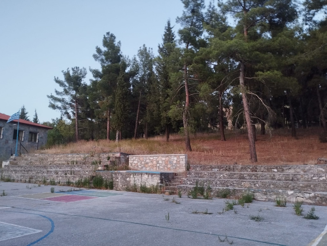ΔΗΜΟΤΙΚΟ ΣΧΟΛΕΙΟ ΑΡΝΙΣΣΑΣ : ΠΛΗΡΗΣ ΕΓΚΑΤΑΛΛΕΙΨΗ - ΤΡΑΓΙΚΕΣ ΕΙΚΟΝΕΣ ...