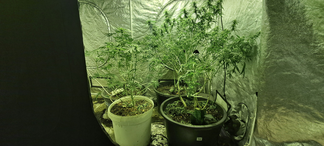 20240523 051231 — Postimages