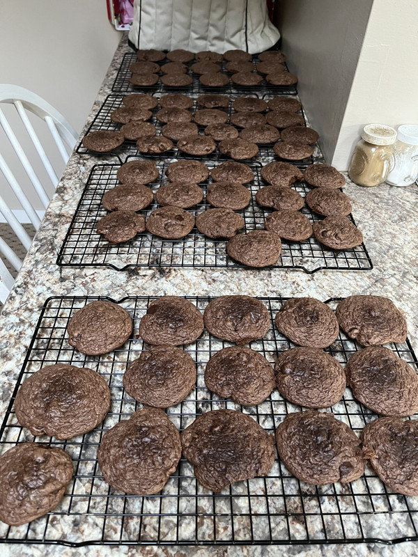 IMG 9003 — Postimages