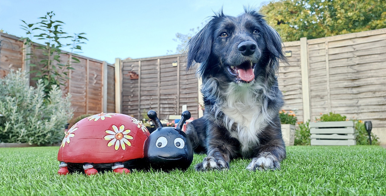 IMG 0813 — Postimages