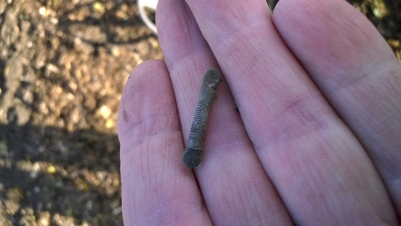 kanki — Postimages