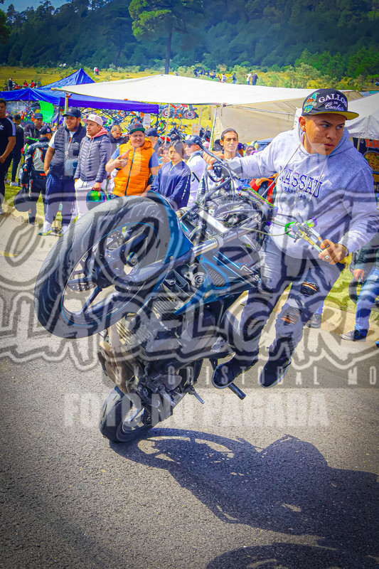 PL2 3037 — Postimages