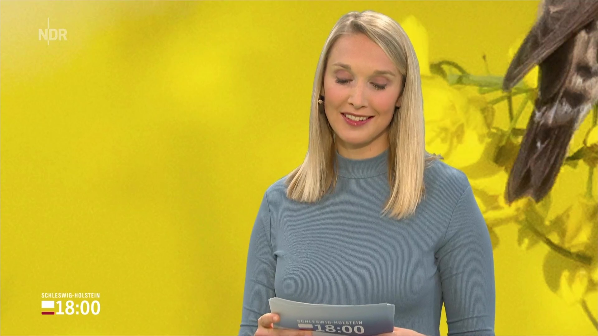 Alexandra Bauer NDR Schleswig Holstein18 Uhr 21052025 00125 — Postimages