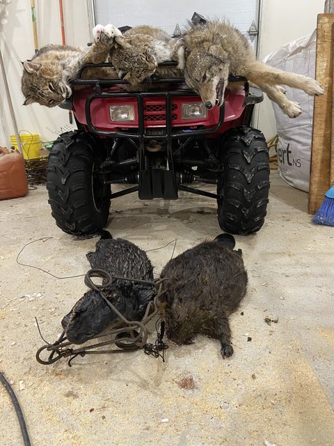 IMG 0654 — Postimages