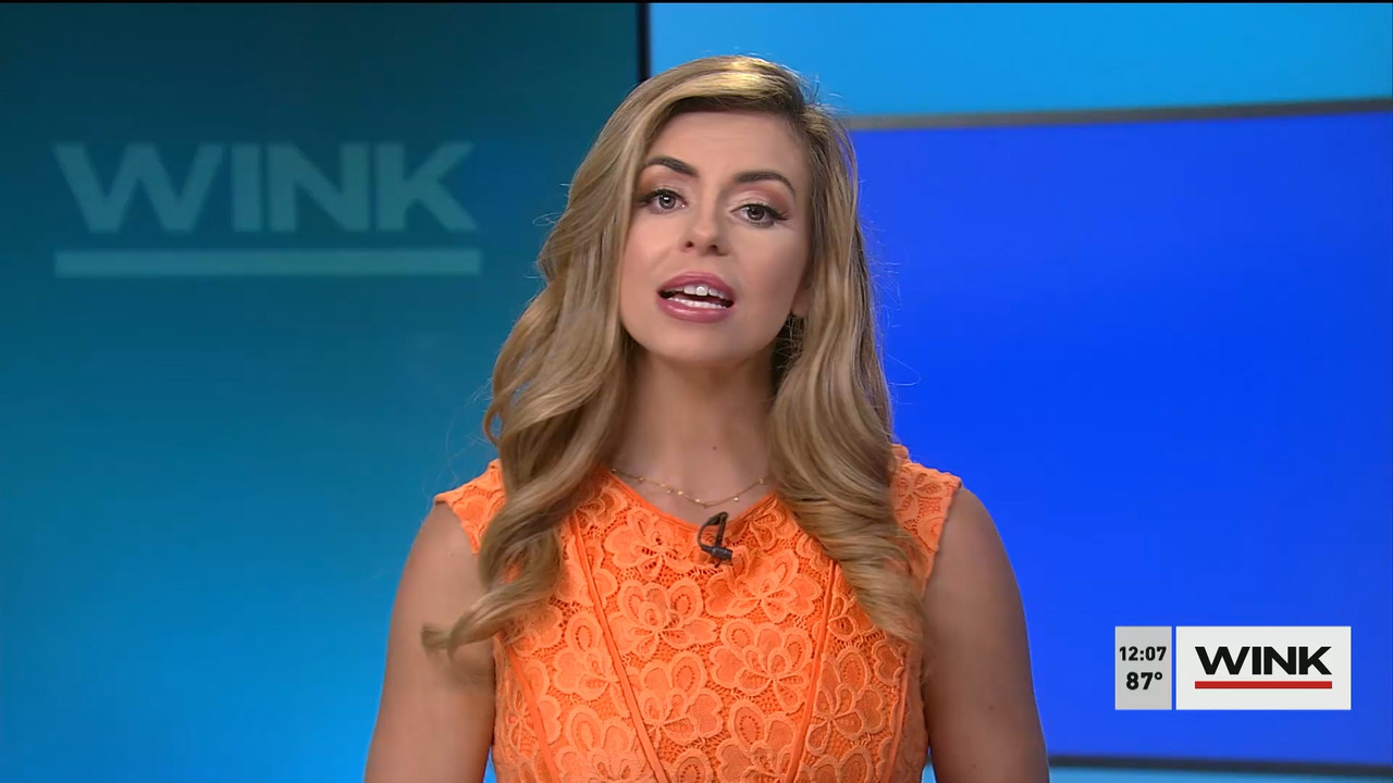 The WINK Noon News 2022 09 19 17 00 00 ts snapshot 11 15 729 — Postimages