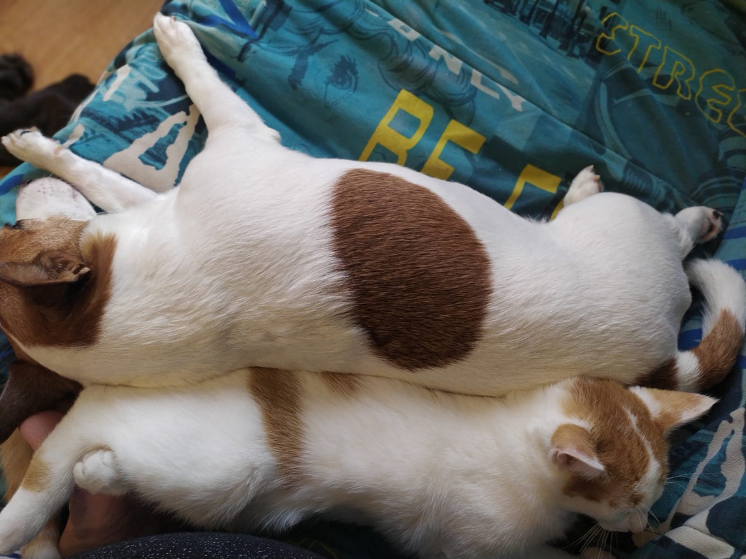 IMG 20231025 WA0001 — Postimages