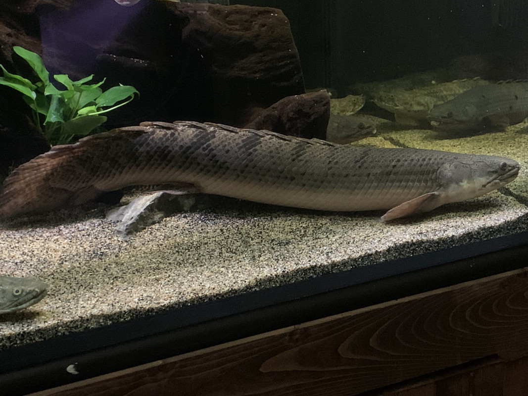 IMG 1980 — Postimages