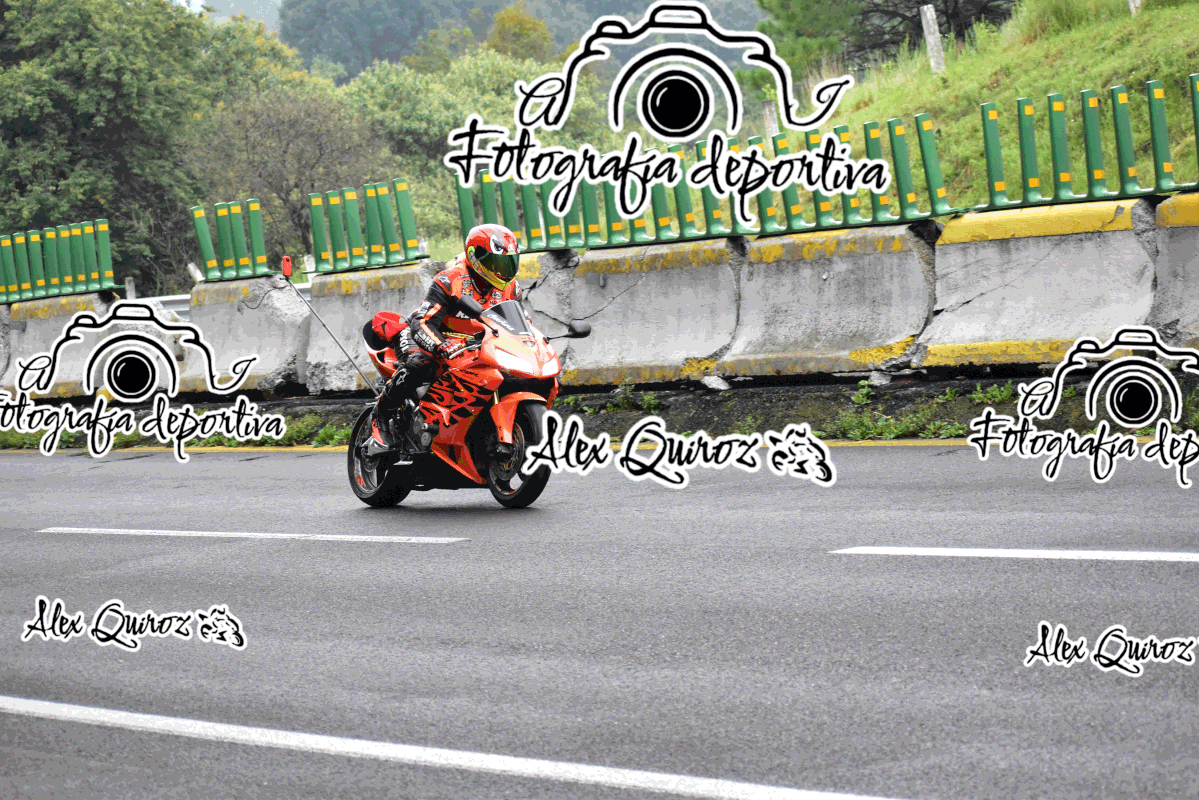 AVQ 8796 — Postimages