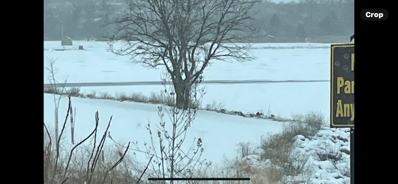 IMG 0588 — Postimages