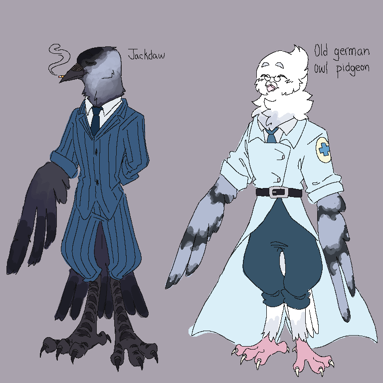 Show me your anthro bird ocs! on Toyhouse