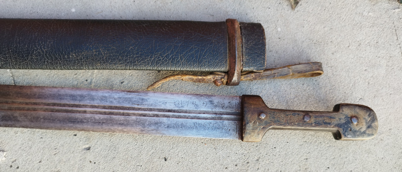 IMG 20221101 161649 — Postimages