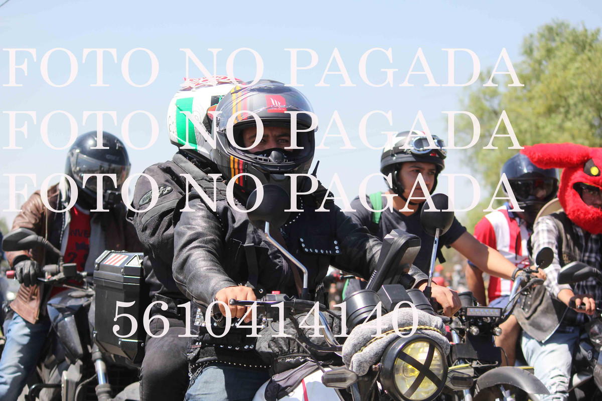 IMG 2153 — Postimages