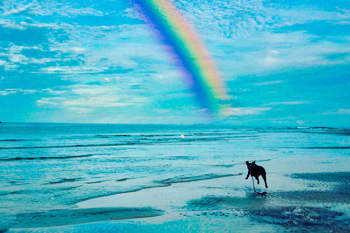 rainbow angel — Postimages