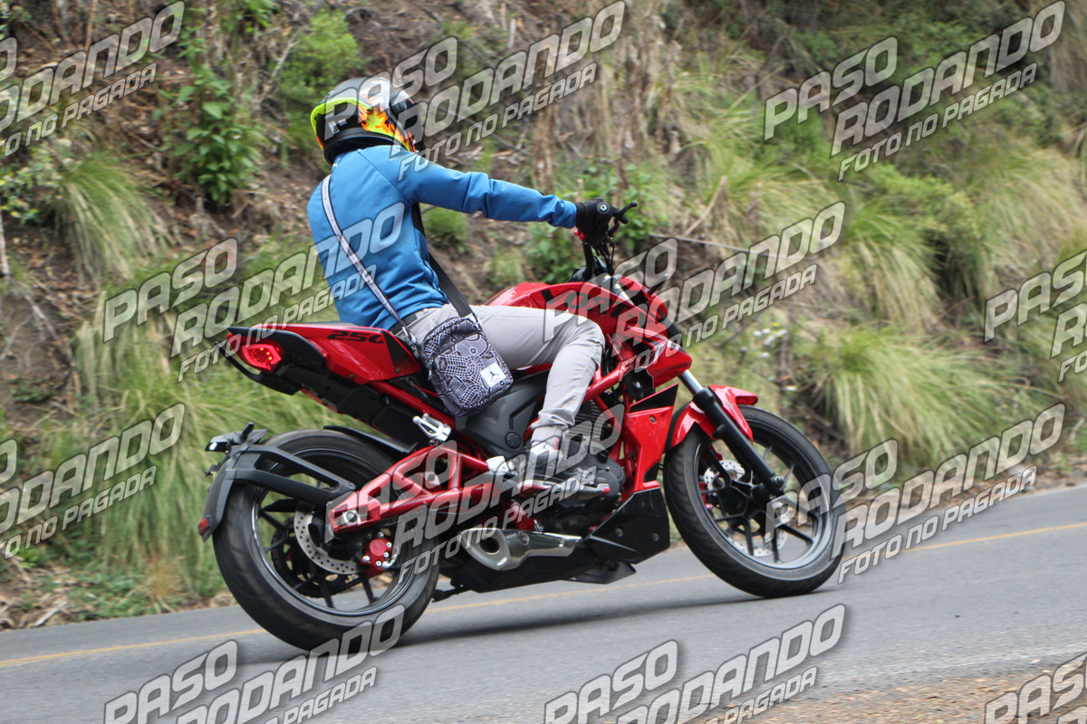 IMG 9286 wm 13653908 700000001 watermarked — Postimages