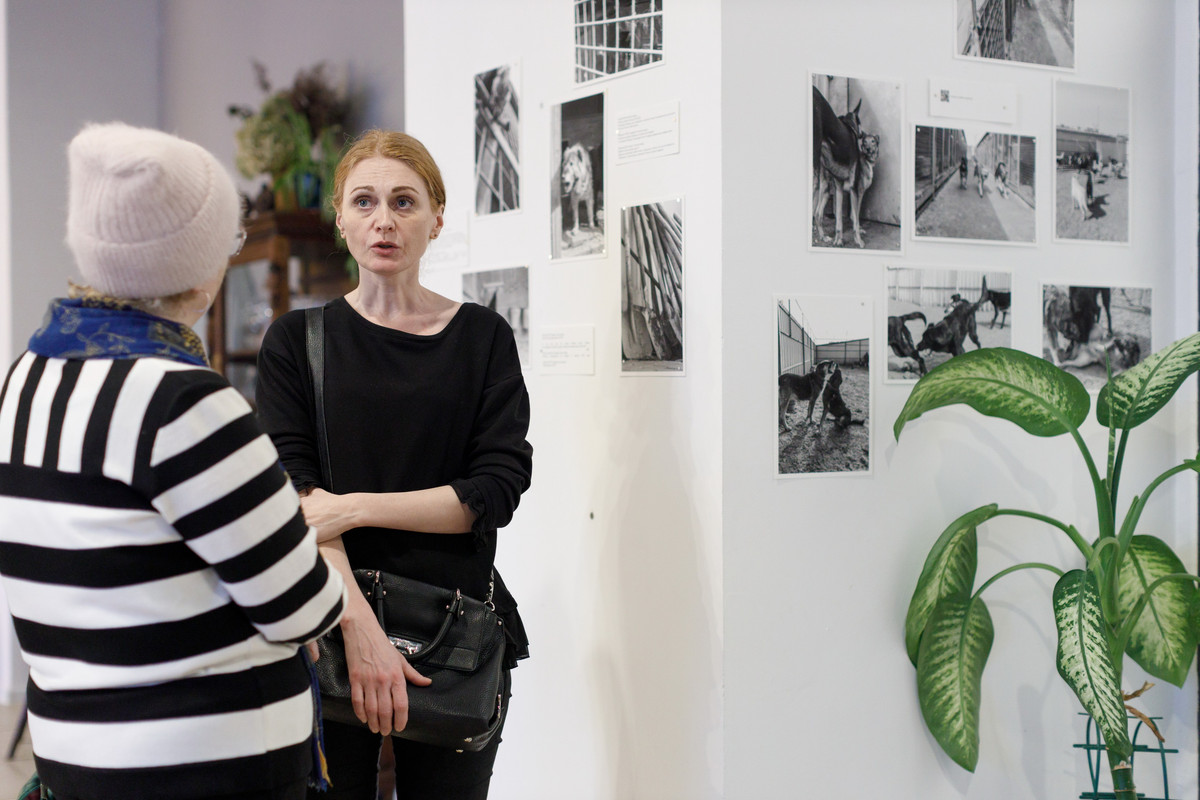 0224 2023 03 12 R DMR 0467 — Postimages