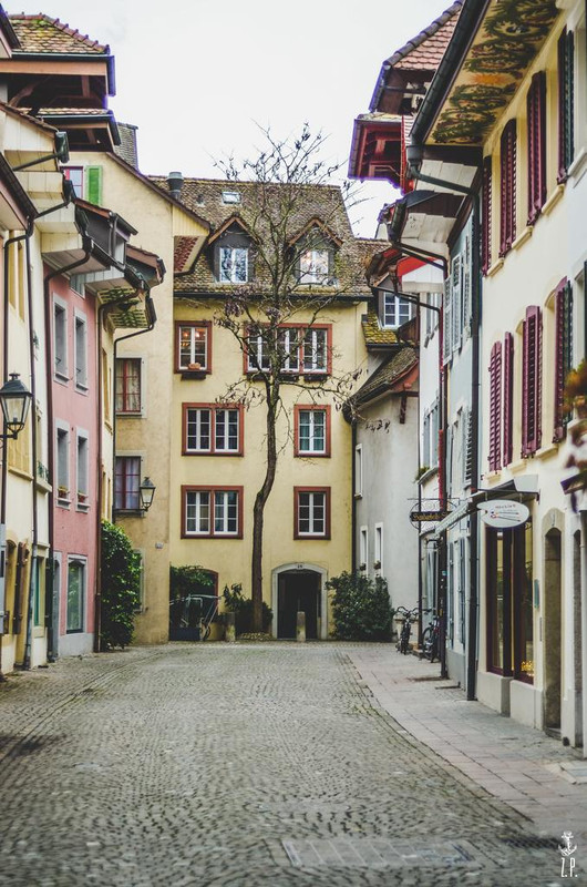 DSC 6803 — Postimages