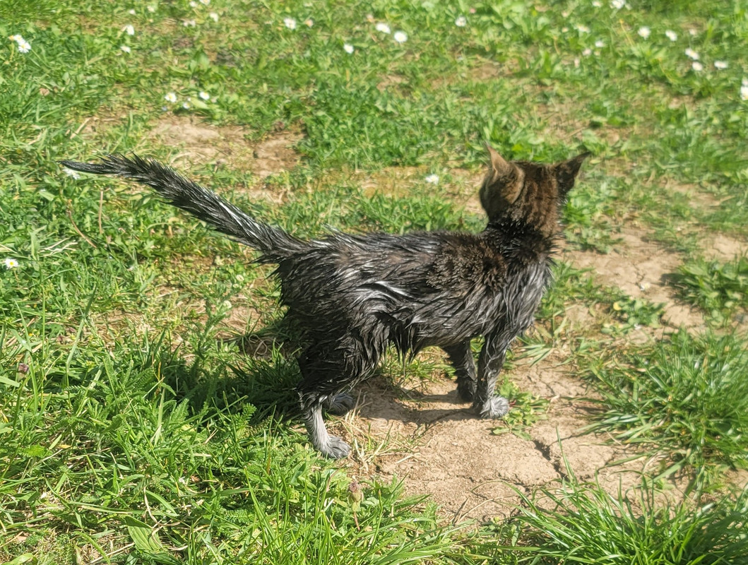 20240408 144916 2 — Postimages