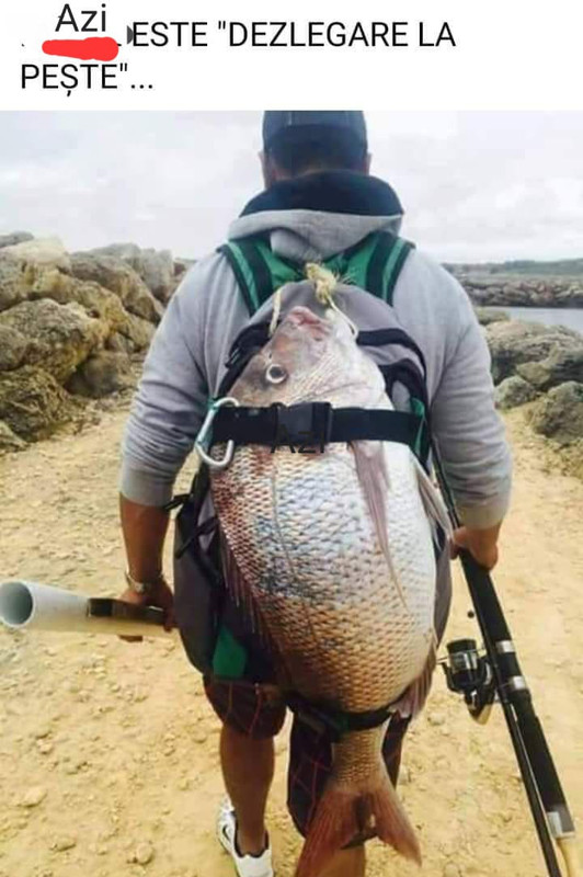 Poze haioase II - Pagina 7 - Discutii diverse, categorie arhivata ...