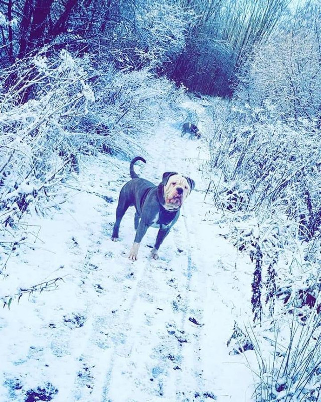 image 225 — Postimages