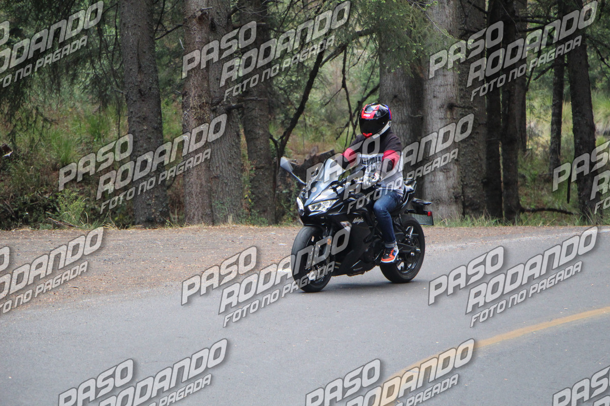 IMG 8710 wm 9141673 100000001 watermarked — Postimages