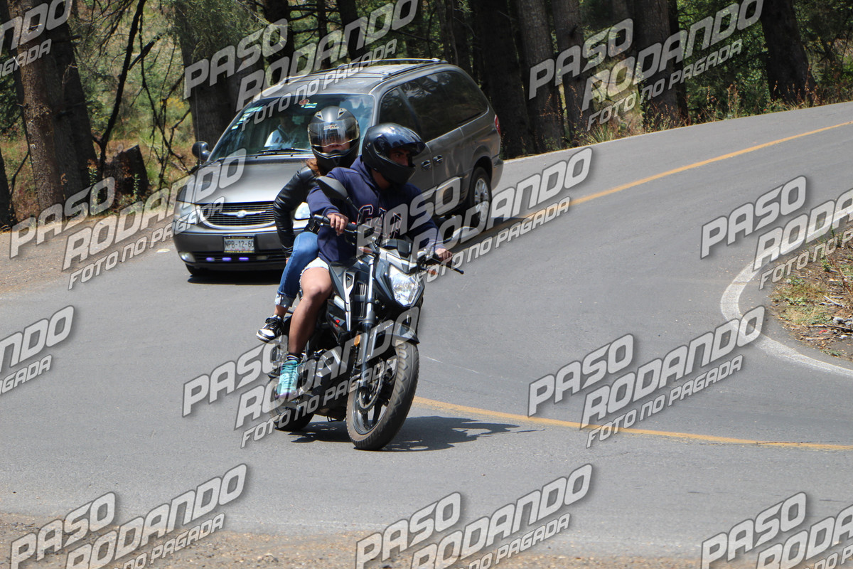 IMG 1663 wm 11309176 6 watermarked — Postimages