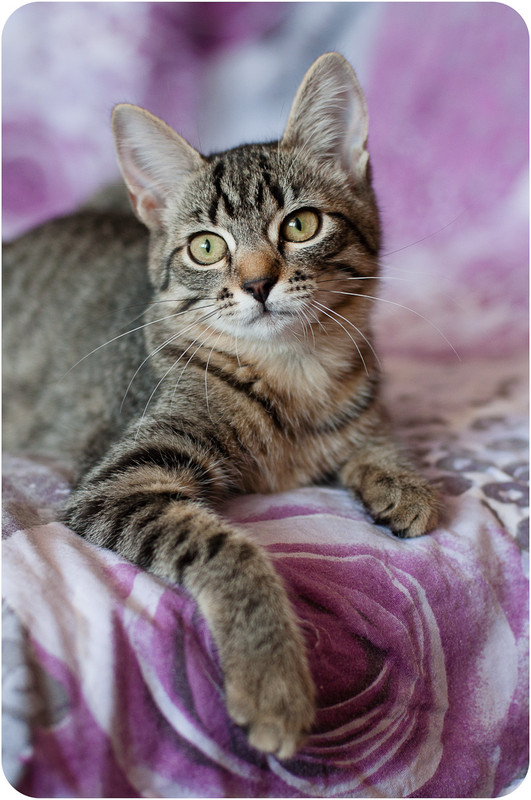 mary 86 — Postimages