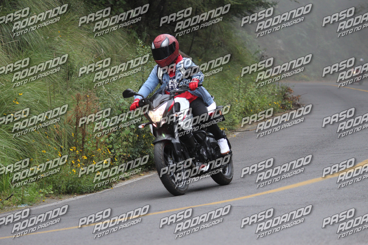 IMG 1148 — Postimages