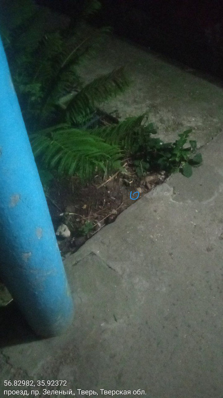 IMG 20230818 183217 359 — Postimages