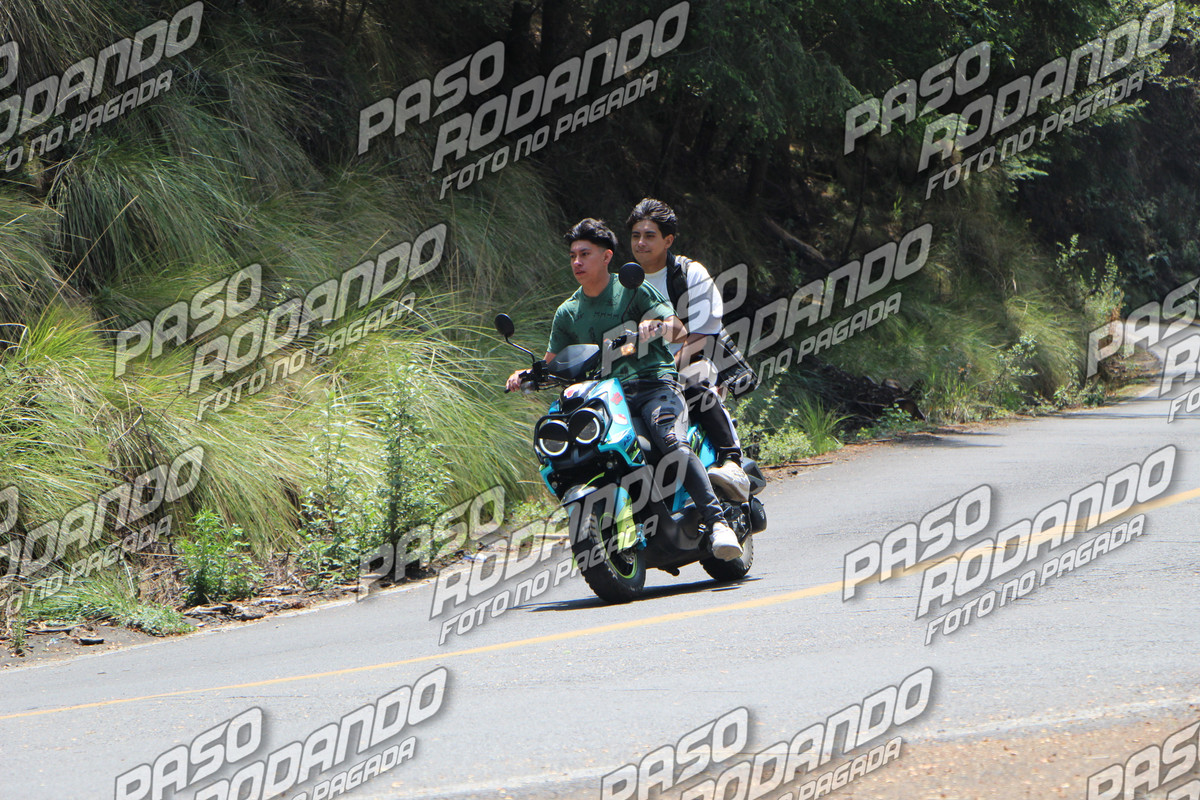 IMG 1889 wm 243156 69999999972 watermarked — Postimages