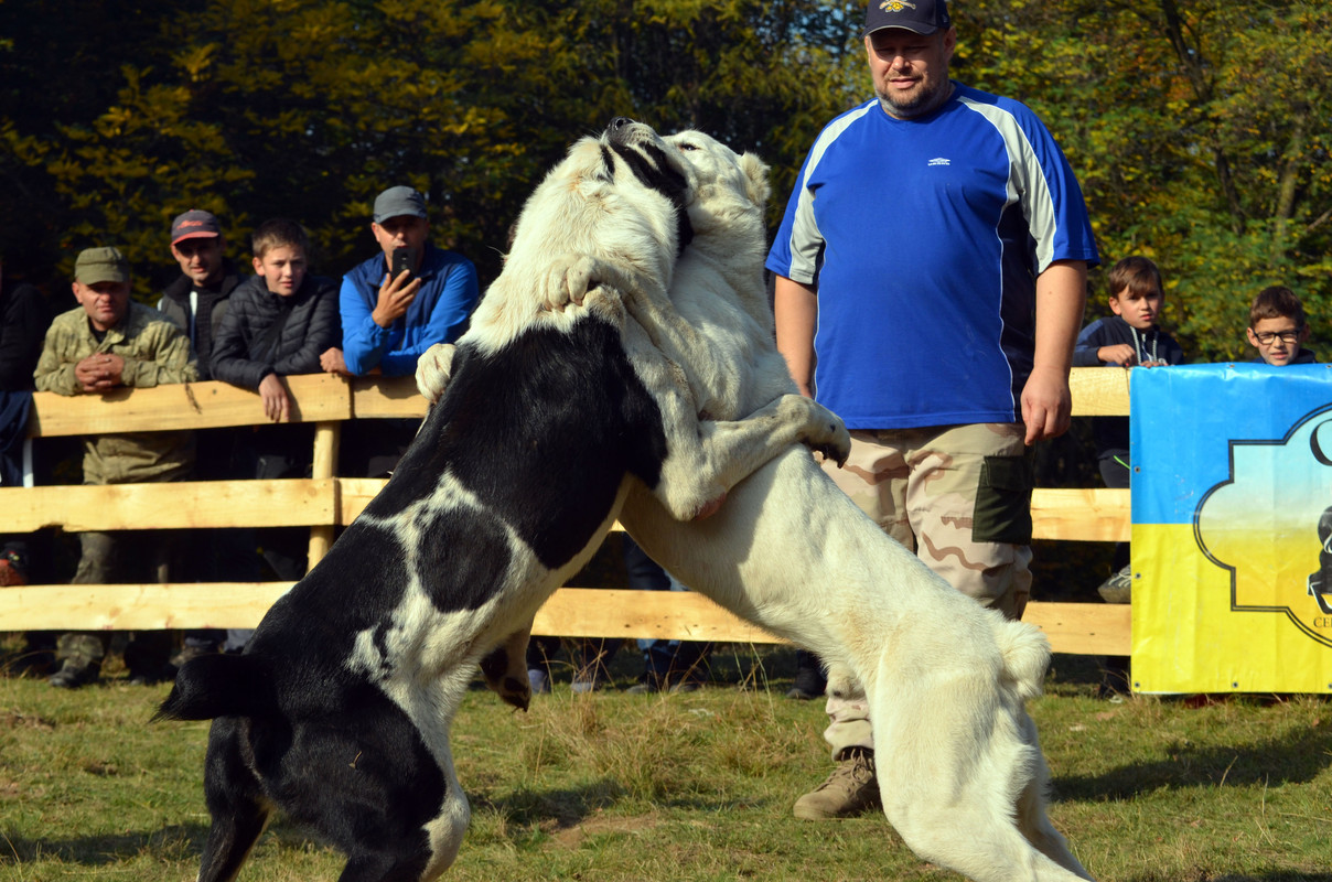 DSC 0580 — Postimages