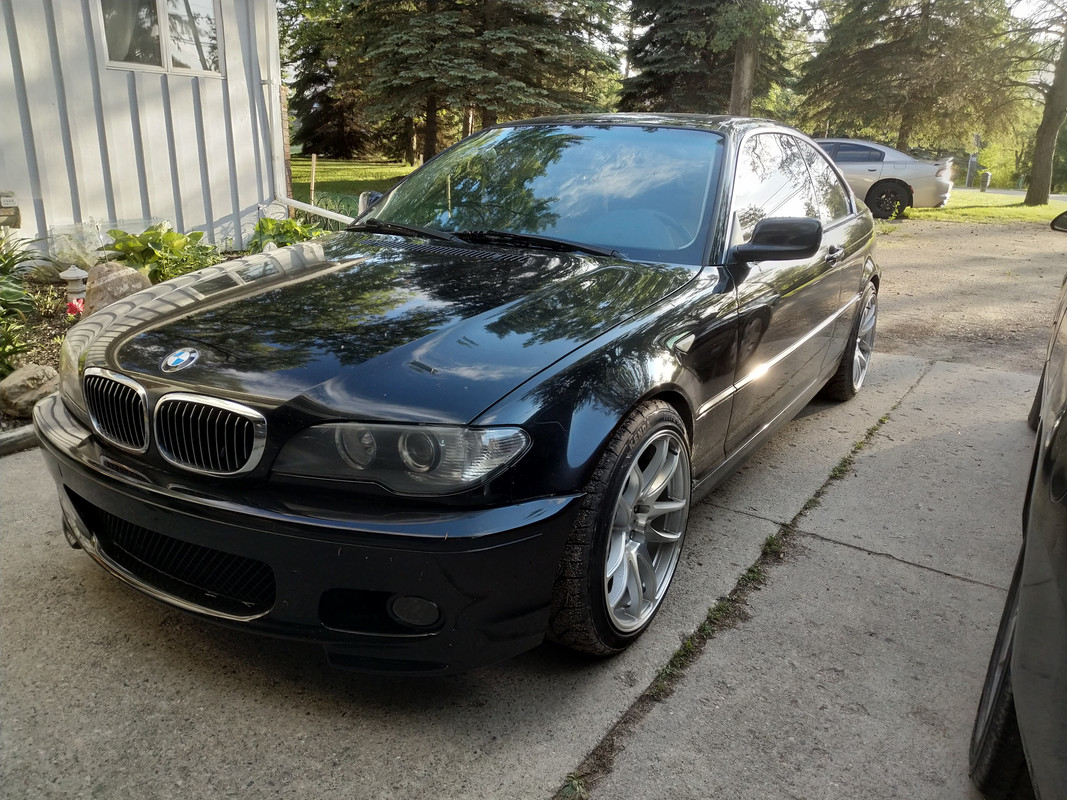 Black Cat E46 Build Thread | BimmerFest BMW Forum