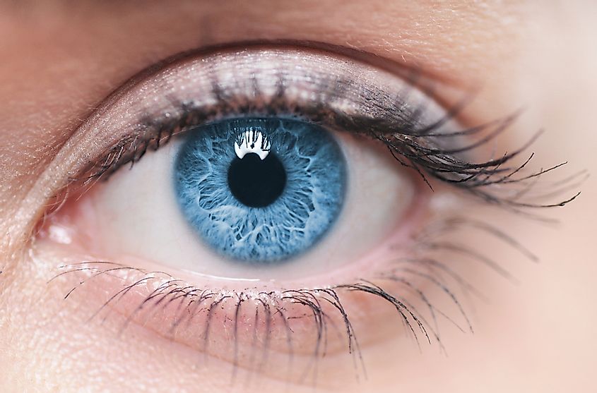 What is an eye color changing subliminal that actually works? : r ...