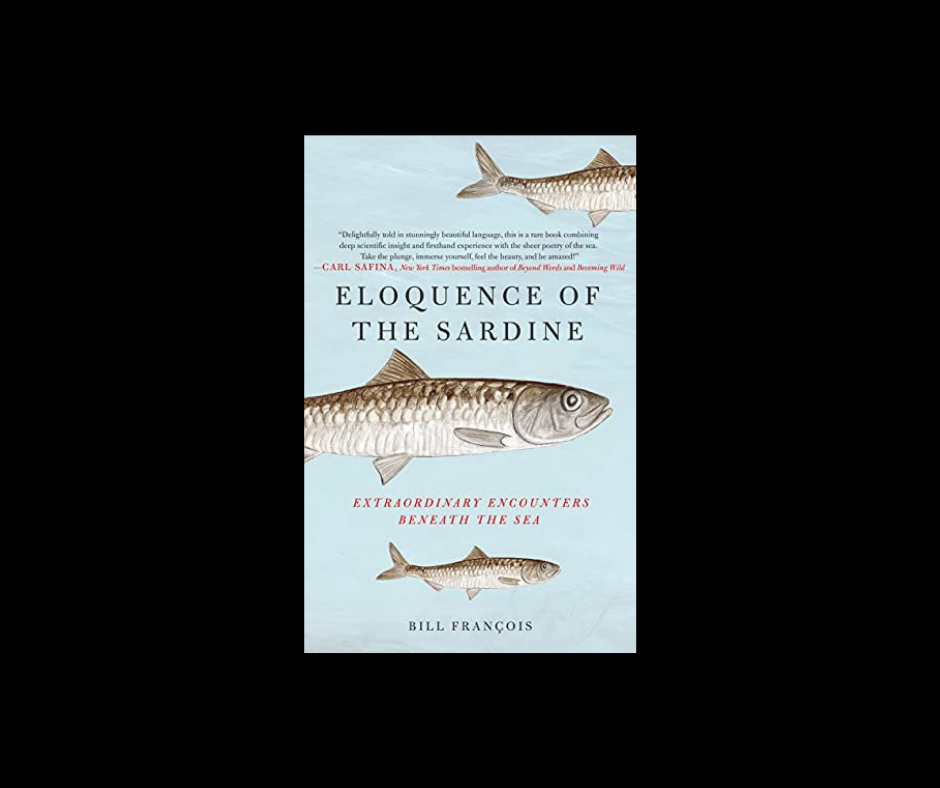 The mirror world under the sea: A review of Eloquence of the Sardine ...