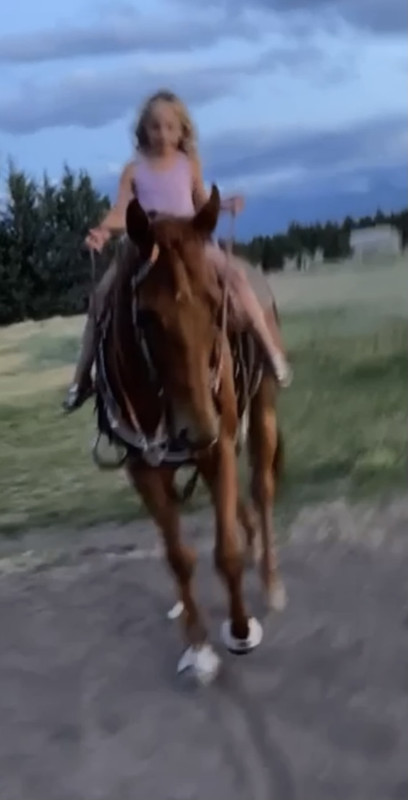 IMG 5129 — Postimages