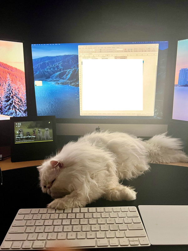 IMG 8808 — Postimages