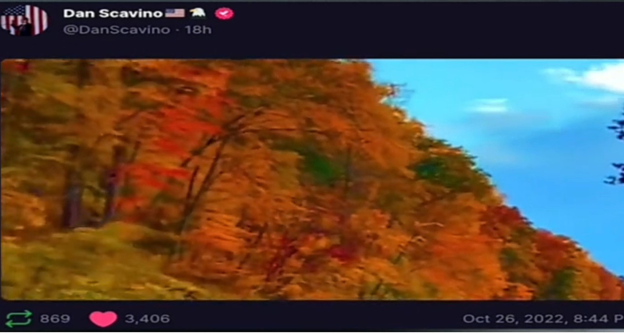 Screenshot 20221028 000926 Brave — Postimages