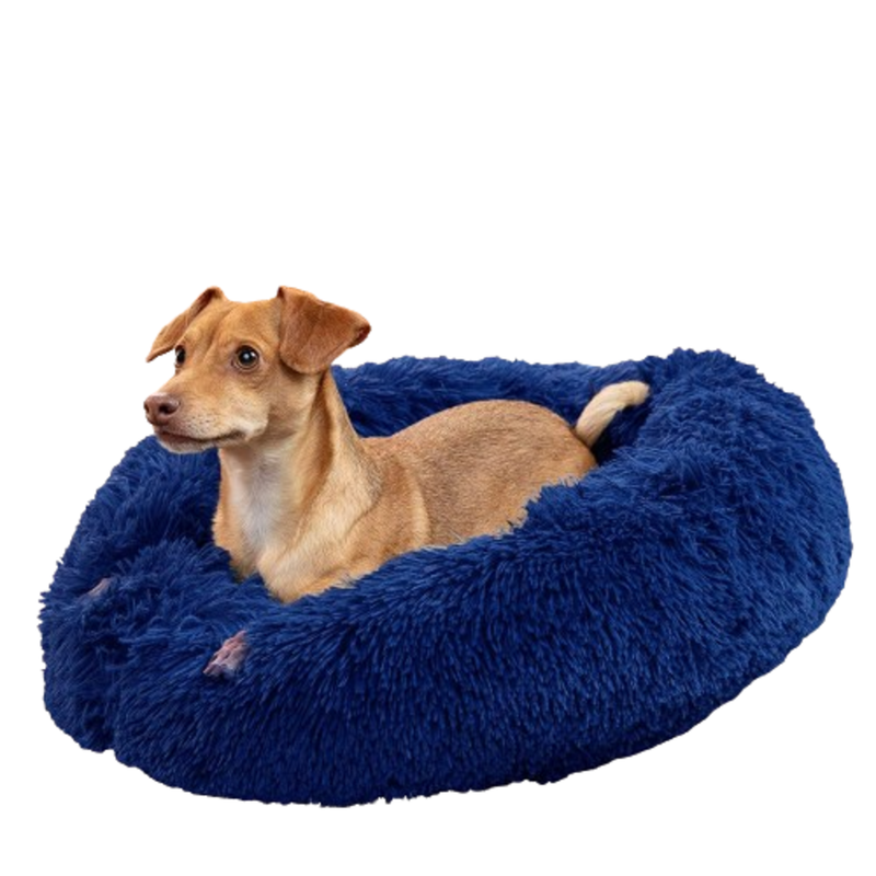 azul oscuro ambientada removebg preview (1) — Postimages