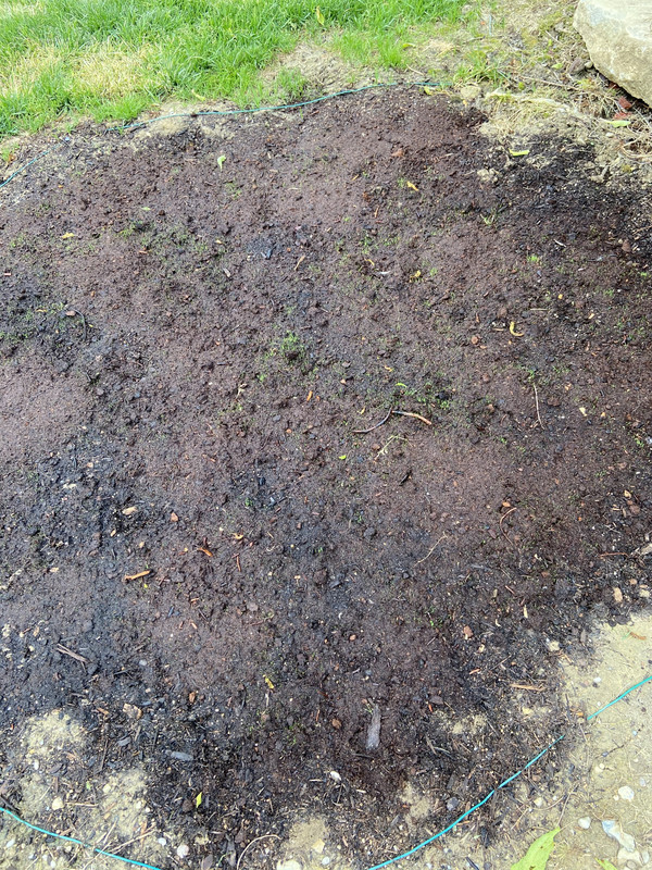 Pre germination of KBG works. | Lawn Care Forum