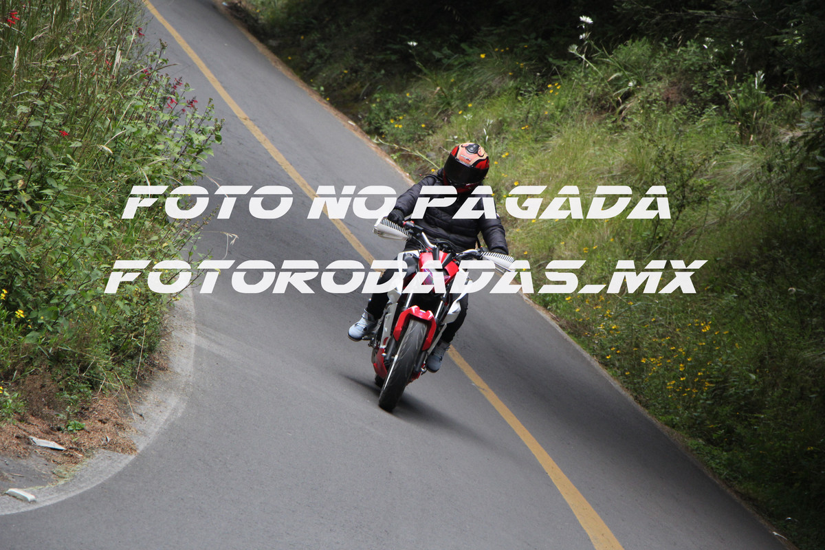 IMG 1017 — Postimages