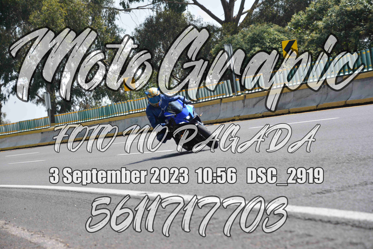 motgr DSC 2919 — Postimages