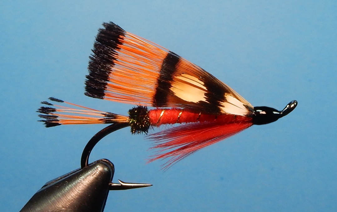Durham Ranger - Fly Tying - Maine Fly Fish