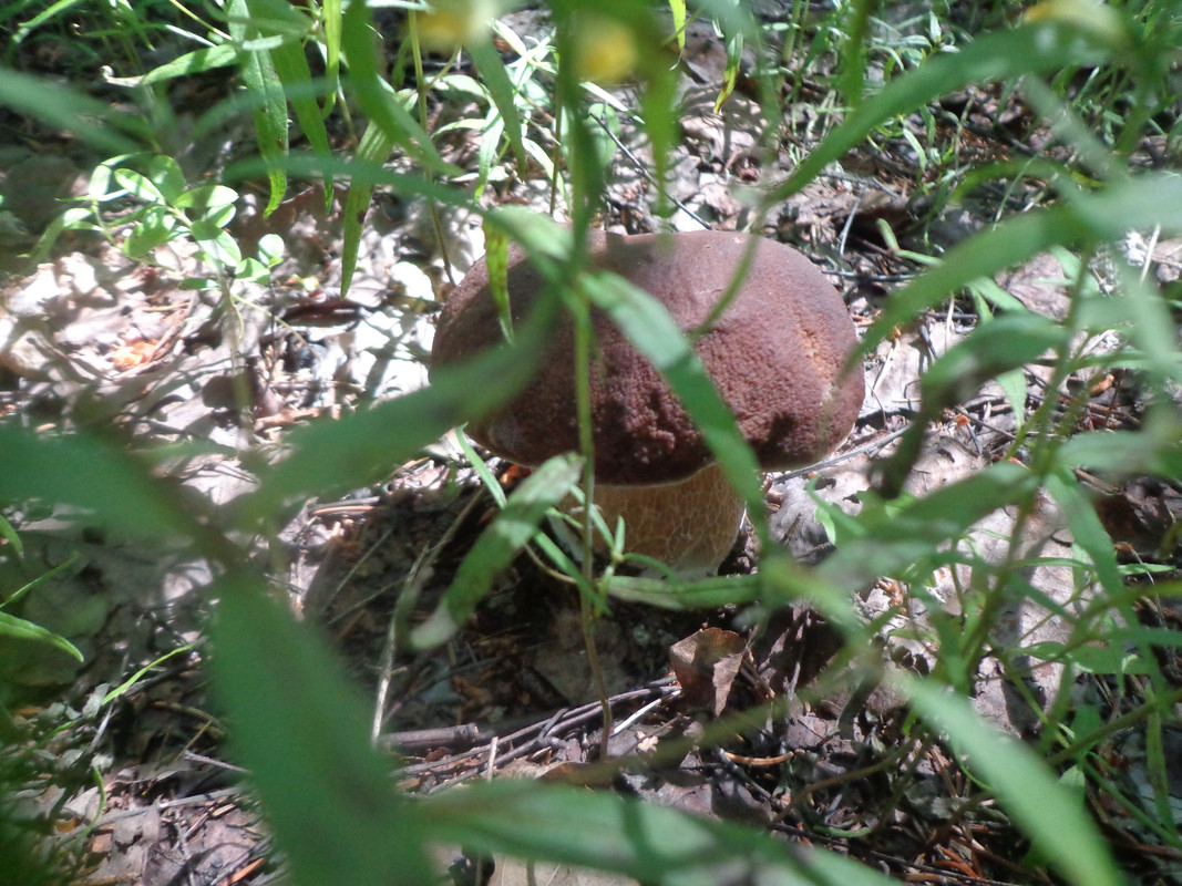 DSC02554 — Postimages