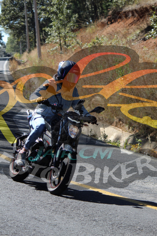 Chapa 0447 — Postimages