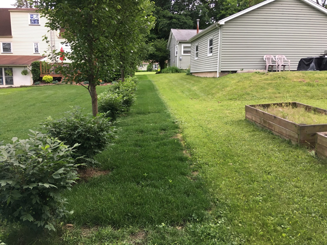 CF35964 C 1 E4 A 4 C95 965 F 0193 FF2454 DB — Postimages