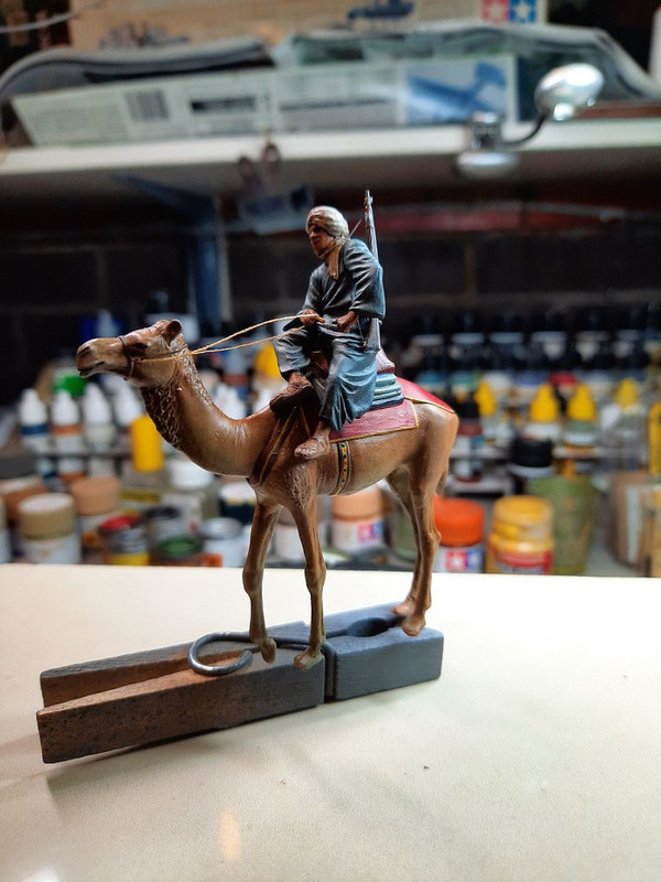 1/35 Camel and rider - Figure Work In Progress - Britmodeller.com